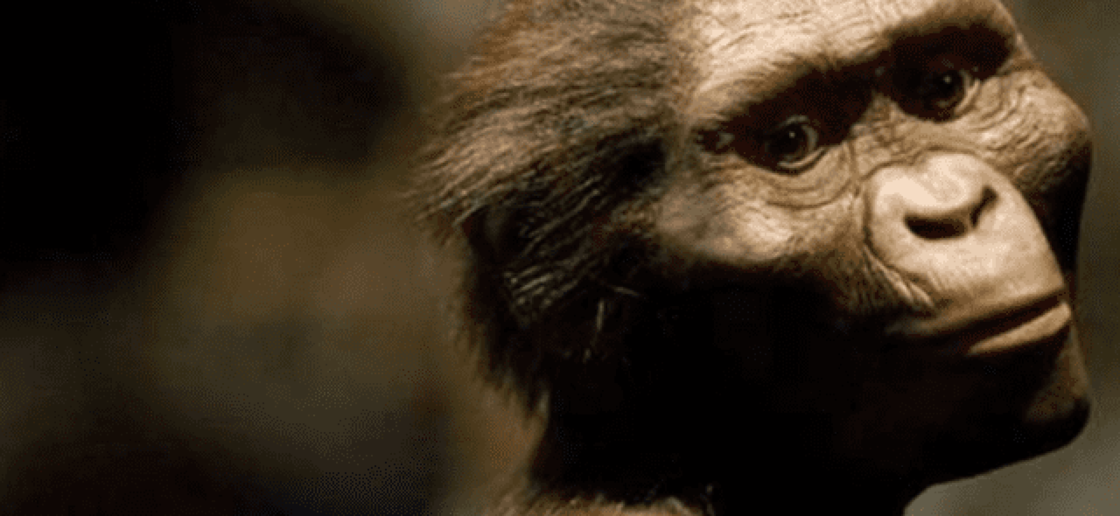 Curiosidades sobre el fósil Lucy Red933fm